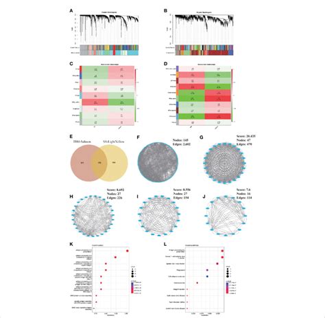Identification And Analysis Of Shared Gene Signatures In Ss And Ibm Via Download Scientific