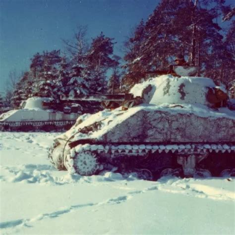 101st Airborne Division Defense Of Bastogne Mitchell European