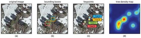 Remote Sensing Mdpi On Linkedin Transformer For Tree Counting In Aerial Images