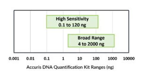 Broad Range Dsdna Quantification Kit 100 Assays