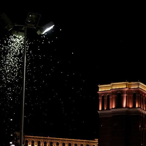 Luxor Light Beam Ecosystem The Best Picture Of Beam