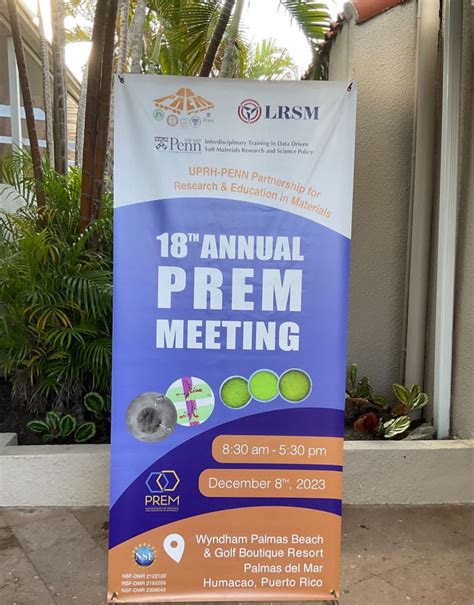 Lrsm Participants Are In Puerto Rico To Share Knowledge With Our Prem