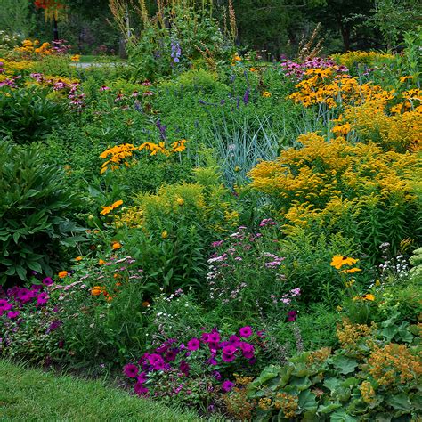 Celebrate Pollinator Week How To Support Bees Butterflies And More