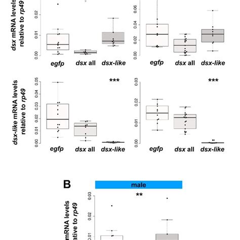 Evolutionary Transition Of Outputs Of The Insect Sex Differentiation