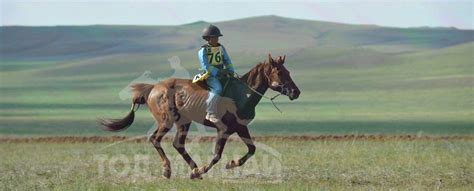 Говийн бүсийн хурд уралдаанд түрүүлж айрагдсан эрлийз хурдан хүлгэд
