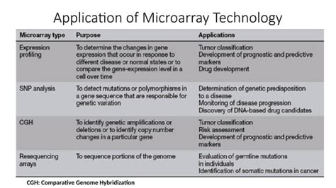Transcriptomicsmicroarray Chip And Image Analysispptx