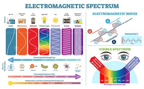 Electromagnetic Spectrum Outline Vector Icons Vectormine