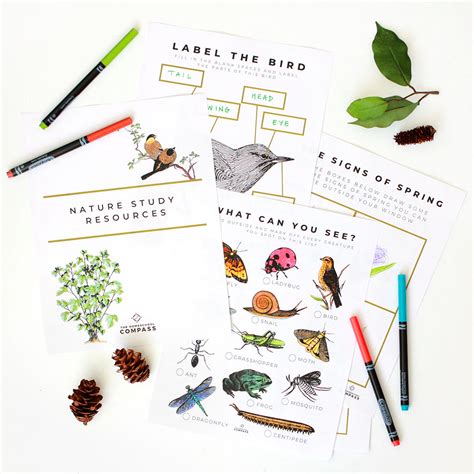 Spring Nature Study Printables Homeschool Compass