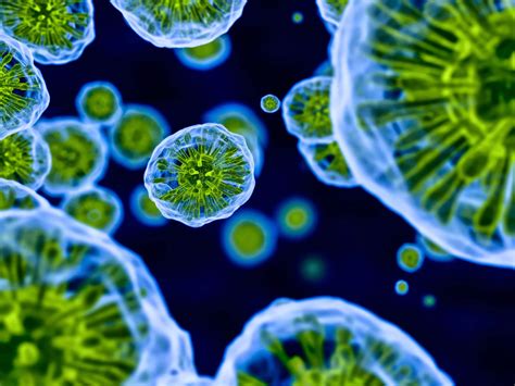 Biologia Molecular E Celular BRAINCP