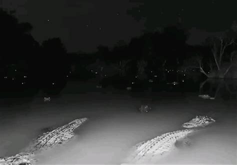 1945 წელს მეორე მსოფლიო ომის ჩვენ ვიცით We Know