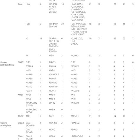 Summary Of Histones And Histone Modifying Enzymes Annotation Download Scientific Diagram
