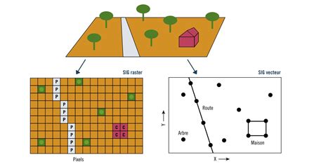 Difference Entre Données Vecteur Et Données Raster Spécialiste Sig