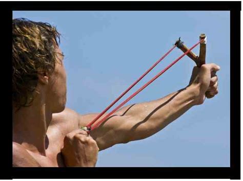 Elasticity Numerical On Stress Strain Youngs Module Class 11 Physics Isc Nootan Icsehelp