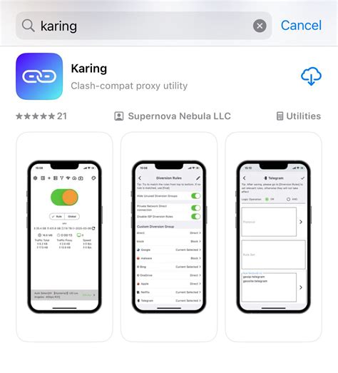 Karing Installation And Usage Tutorial 小鹿維基