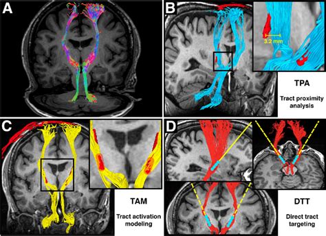 Adapted From Calabrese Et Al 2015b Figure 6 With Permission A Download Scientific