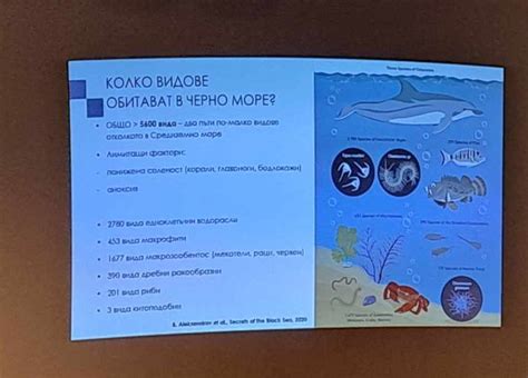 Институтът по океанология на БАН отбеляза тържествено своя 50 годишен юбилей във Варна