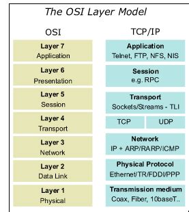 Network Basic Short Notes Of OSI Layers