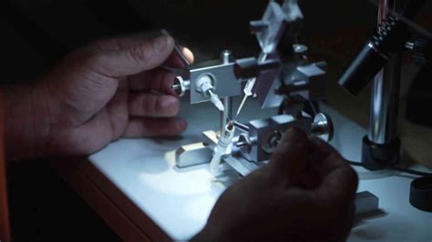 Tasmanias Largest Bee Pollinator Adopts New Technology To Protect