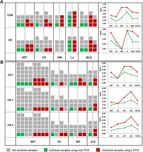 Frontiers Using Loop Primer Mediated Pcr To Enhance The Detection Of