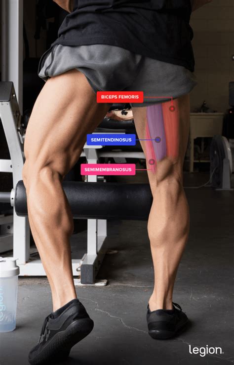 How To Do The Nordic Hamstring Curl Alternatives Benefits And Muscles Worked Legion