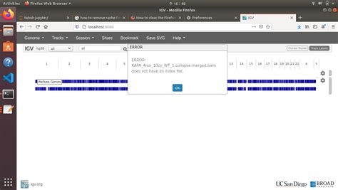 Local Bam File Does Not Have Index File · Issue 180 · Igvteamigv Webapp · Github