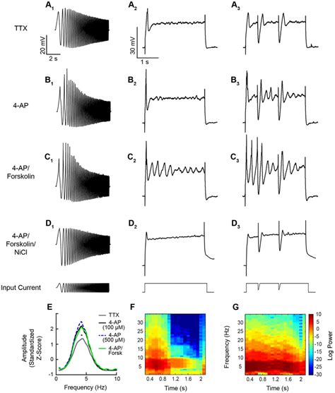 Bla Principal Neurons Exhibited A Modifiable Intrinsic Resonance And A