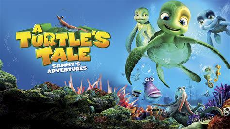 A Turtles Tale Sammys Adventures A Turtles Tale Sammys Adventures
