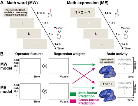 Expression Math Term