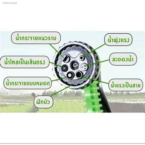จัดส่งเฉพาะจุด จัดส่งในกรุงเทพฯสายยางฉีดน้ำ สายยางยืดหด 30เมตร หัวฉีด