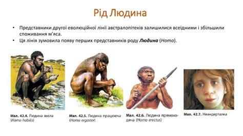 Презентація Еволюція людини Етапи еволюції людини
