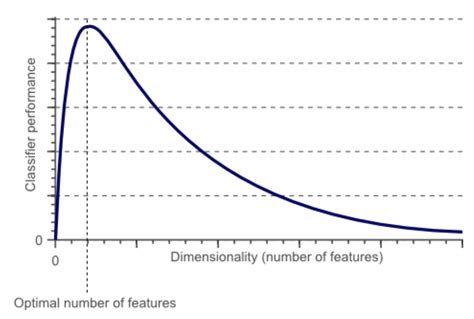 Confronting The Curse Of Dimensionality