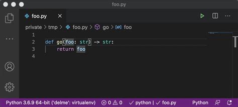 Documentation And Issues For Pylance Fast Feature Rich Language Support For Python