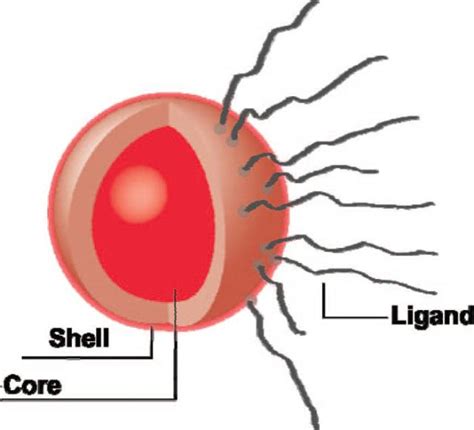 Qled小知识 行家说