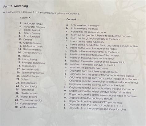 Solved Maich The Items In Column A To The Corresponding Chegg Com
