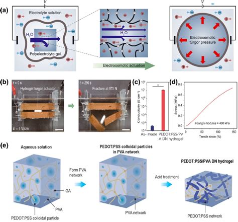 A Schematic Diagram Of Electroosmosis Driving Process Of Hydrogel Download Scientific Diagram