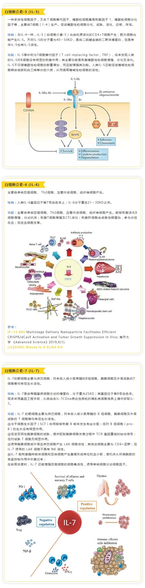 江莱生物 ELISA小能手 领略 多才多艺 的白细胞介素家族 江莱生物官网