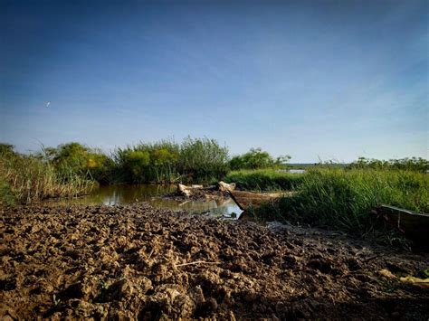 Biodiversity Gains And Losses The River Yala Basin Now Photostory Infonile