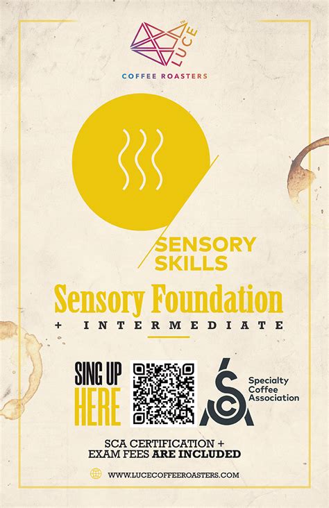 Sca Sensory Foundation Intermediate Luce Coffee Roasters