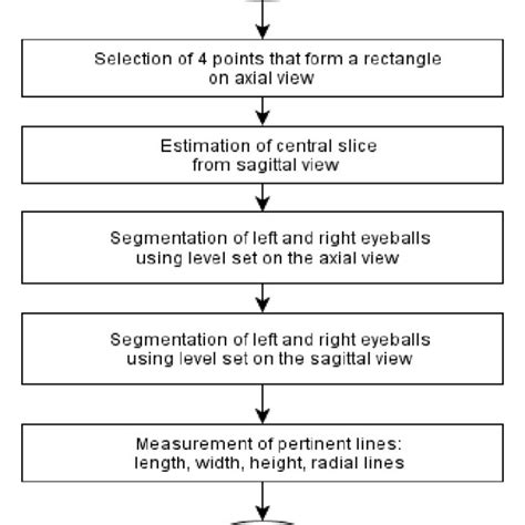 Algorithm On Segmentation And Measurement Of Mri Eye Images Download Scientific Diagram