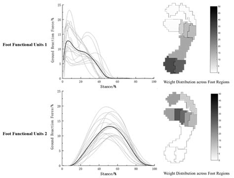 The Secrets Of Human Locomotion A Step By Step Analysis Of Foot Function In Walking And Running