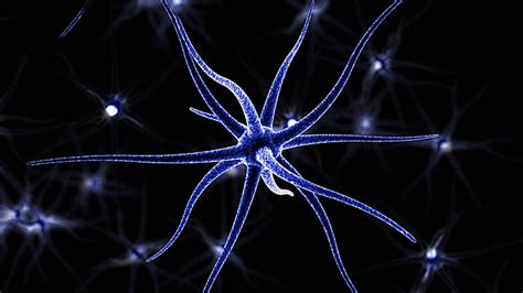 Blurred Black Background Focus On 3d Neuron Clone Disease Cancer Photo