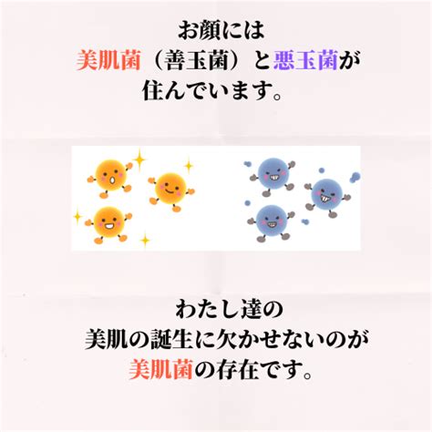 美肌菌ケアで肌荒れを防いで褒められ美肌 Asamochi Cosme