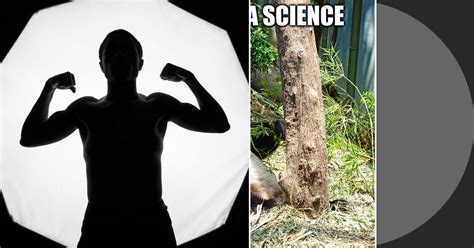 List Pandas Curated By Srichterwu Medium