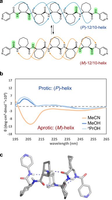 Assembly Of Dynamic Helical β Peptides With Switchable Handedness Into