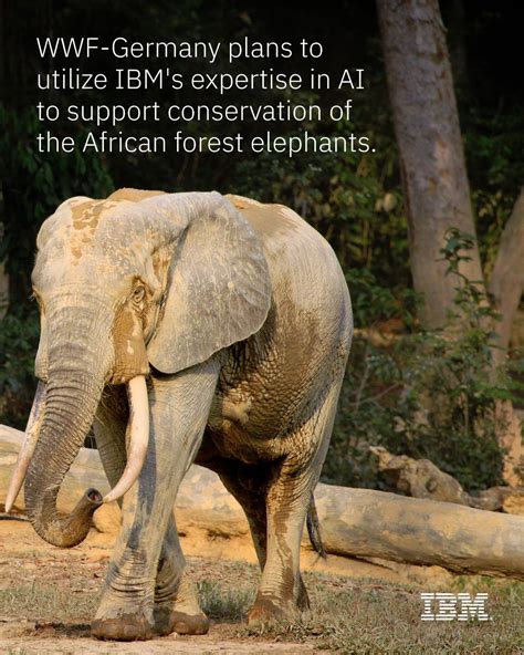 Vinoth Vijayan On Linkedin Great Example Of How Ai Can Be Applied To