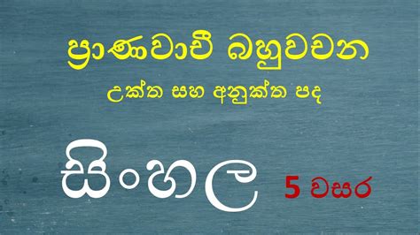 Sinhala Grade 5 සිංහල පහ වසර ප්‍රාණවාචී බහුවචන උක්ත සහ අනුක්ත පද Magicboxlearning Youtube