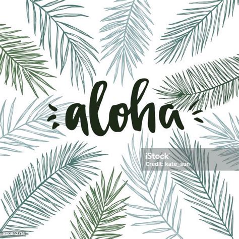핸드 레터링 벡터 일러스트 레이 션프레임 알로하와 종 려 잎을 그려 열 대 디자인 요소입니다 완벽 한 인쇄 포스터 초대장 등 0명에 대한 스톡 벡터 아트 및 기타 이미지