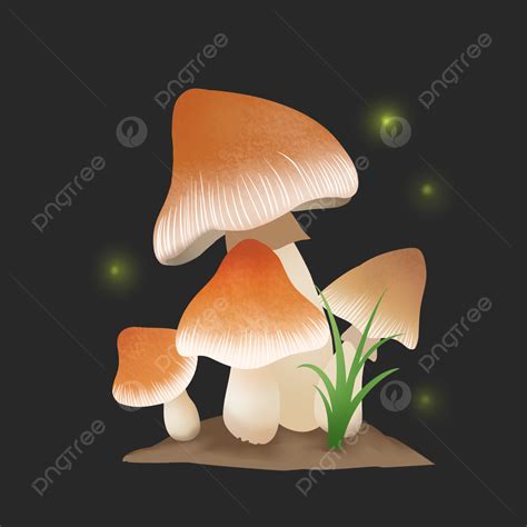 오렌지 버섯 손으로 그린 그림 만화 그림 오렌지 버섯 손그림 Png 일러스트 및 Psd 이미지 무료 다운로드 Pngtree