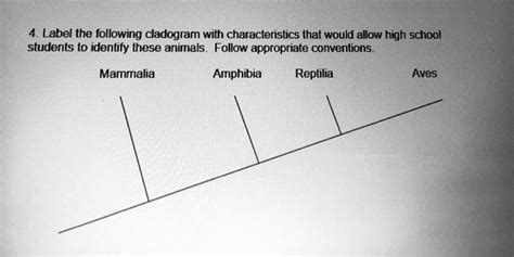 4 Label The Following Cladogram With Characteristics That Would Allow