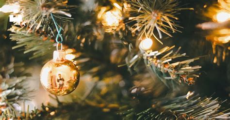 크리스마스 트리에 금 싸구려 사진 Unsplash의 무료 나무 이미지